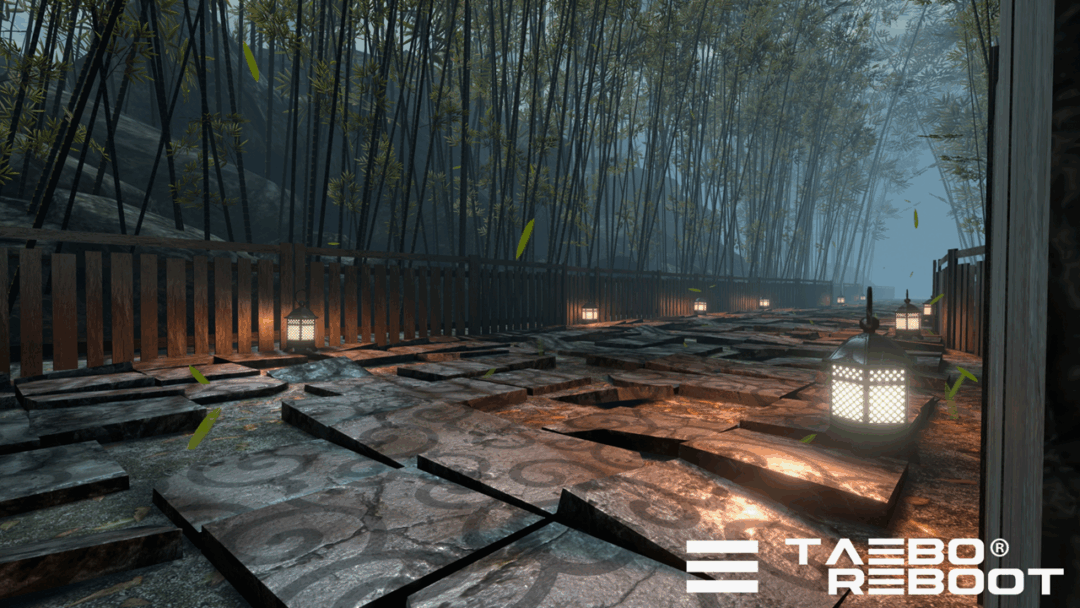Taebo Reboot le jeu spécial remise en forme en VR avec coach